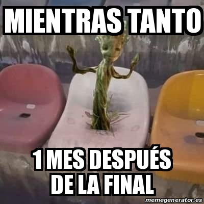 Meme Personalizado - Mientras tanto 1 mes despuÃ©s de la final - 31129852