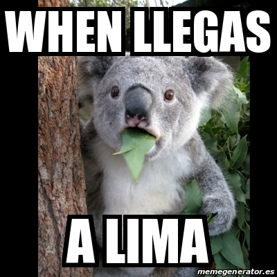 Meme Koala - when llegas a lima - 31137475