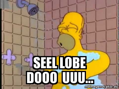 Meme Personalizado - seel lobe dooo uuu... - 31140233