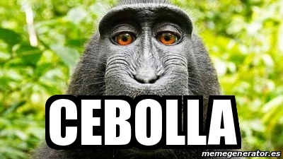 Meme Personalizado - cebolla - 31140928
