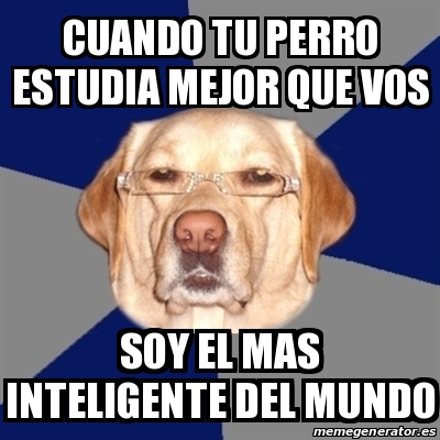 Meme Perro Racista - cuando tu perro estudia mejor que vos soy el mas ...