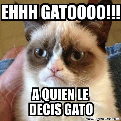 Meme Grumpy Cat - ehhh gatoooo!!! a quien le decis gato - 31145839