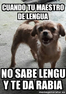 Meme Personalizado - cuando tu maestro de lengua no sabe lengu y te da ...