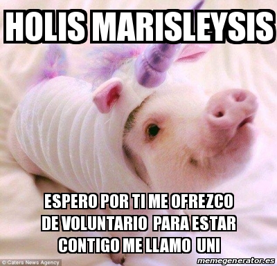 Meme Personalizado - Holis Marisleysis Espero por ti me ofrezco de ...