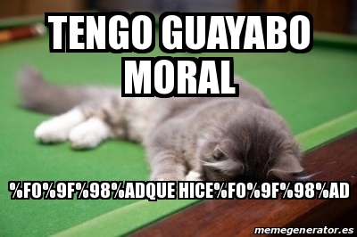 Meme Personalizado - Tengo guayabo moral %F0%9F%98%ADque hice%F0%9F%98 ...