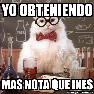 Meme Chemistry Cat - yo obteniendo mas nota que ines - 31153801