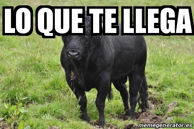 Meme Personalizado - lo que te llega - 31162897