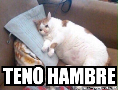 Meme Personalizado - teno hambre - 31162901