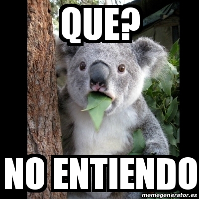 Meme Koala - Que? No entiendo - 31165013