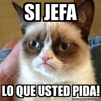 Meme Grumpy Cat - Si jefa lo que usted pida! - 31166306