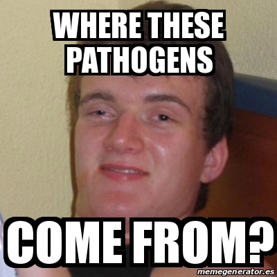 Meme Stoner Stanley - Where these pathogens Come from? - 31166702
