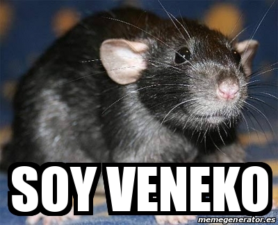 Meme Personalizado - Soy Veneko - 31168403
