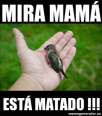 Meme Personalizado - Mira mamÃ¡ EstÃ¡ matado !!! - 31169882