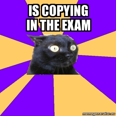 Meme Anxiety Cat - is copying in the exam - 31170162