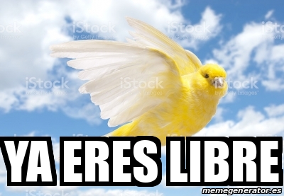 Meme Personalizado - Ya eres libre - 31175757