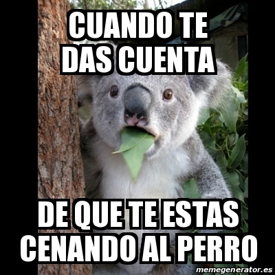 Meme Koala - Cuando te das cuenta De que te estas cenando al perro ...