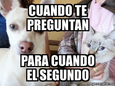 Meme Personalizado - Cuando te preguntan Para cuando el segundo - 31180821