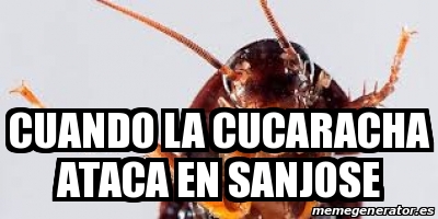 Meme Personalizado - CUANDO LA CUCARACHA ATACA EN SANJOSE - 31183762