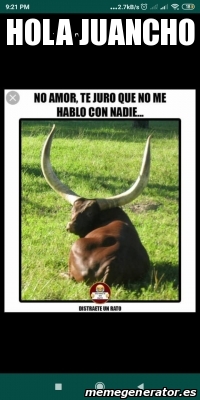 Meme Personalizado - Hola Juancho - 31188022