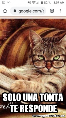 Meme Personalizado - Solo una tonta te responde - 31188541