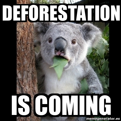 Meme Koala - DEFORESTaTION IS COMING - 31191500