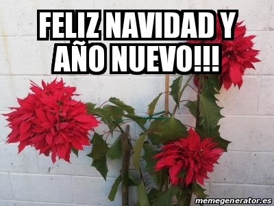 Meme Personalizado - FELIZ NAVIDAD Y AÃ‘O NUEVO!!! - 31191605