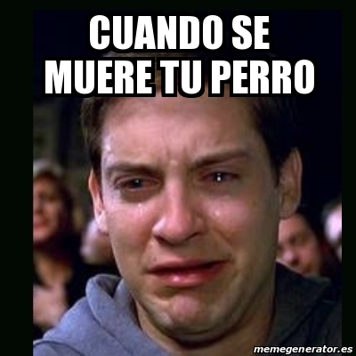 Meme crying peter parker - cuando se muere tu perro - 31193538