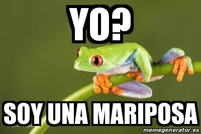 Meme Personalizado - yo? soy una mariposa - 31195204