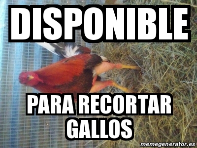Meme Personalizado - Disponible Para recortar gallos - 31195290