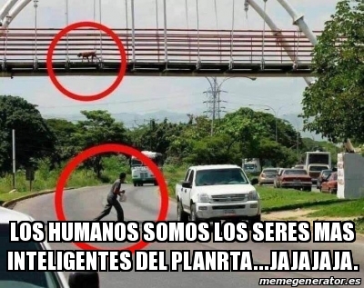 Meme Personalizado - los humanos somos los seres mas inteligentes del ...
