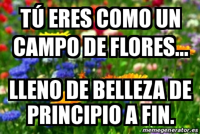 Meme Personalizado - TÃº eres como un campo de flores... Lleno de ...