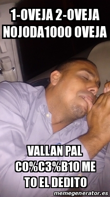 Meme Personalizado - 1-oveja 2-oveja nojoda1000 oveja Vallan pal co%C3 ...