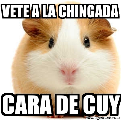 Meme Personalizado - Vete a la Chingada Cara de Cuy - 31205589