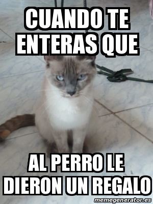 Meme Personalizado - CUANDO TE ENTERAS QUE AL PERRO LE DIERON UN REGALO ...