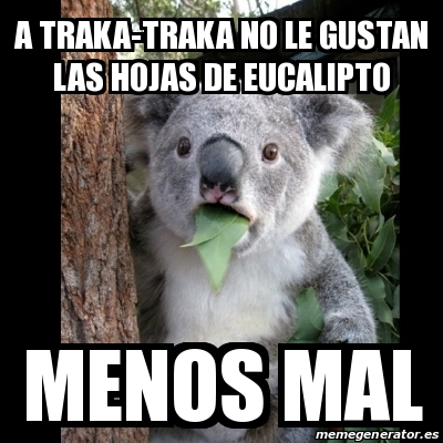 Meme Koala - A traka-traka no le gustan las hojas de eucalipto MENOS ...