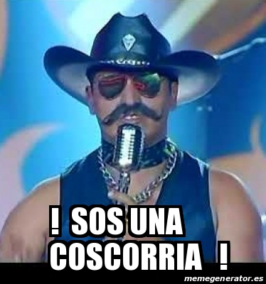 Meme Personalizado - ! Sos una coscorria ! - 31213078