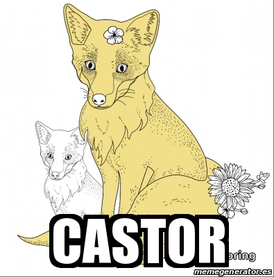 Meme Personalizado - castor - 31213179