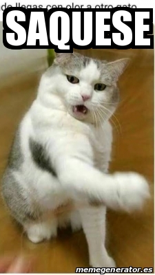 Meme Personalizado - SAQUESE - 31213649