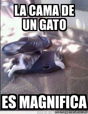 Meme Personalizado - la cama de un gato es magnifica - 31214680