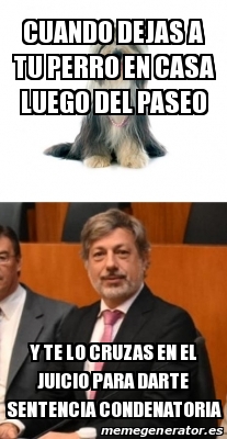 Meme Personalizado - cuando dejas a tu perro en casa luego del paseo y ...