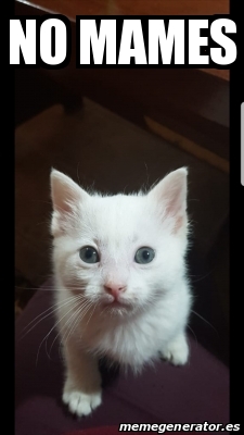 Meme Personalizado - No mames - 31218538