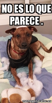 Meme Personalizado - No es lo que parece . - 31220370