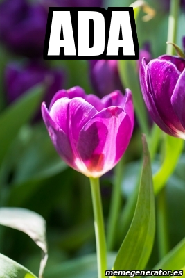 Meme Personalizado - ADA - 31223054