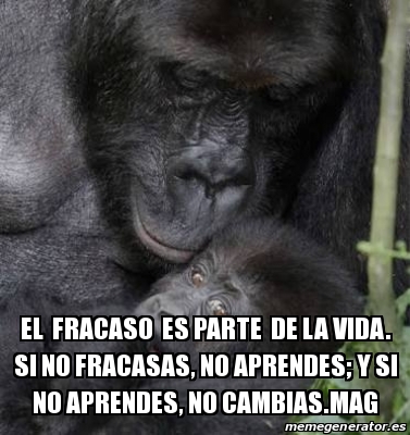 Meme Personalizado - EL FRACASO ES PARTE DE LA VIDA. SI NO FRACASAS, NO ...