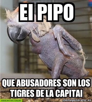 Meme Personalizado - EI PIPO QUE ABUSADORES SON LOS TIGRES DE LA ...