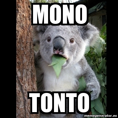 Meme Koala - Mono Tonto - 31232489