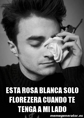 Meme Personalizado - Esta rosa blanca solo florezera cuando te tenga a ...