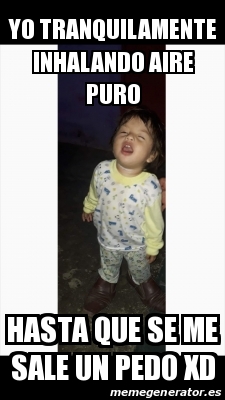 Meme Personalizado - Yo tranquilamente inhalando aire puro Hasta que se ...