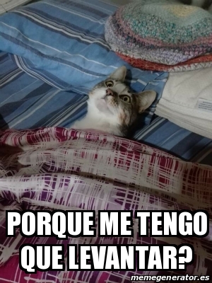Meme Personalizado - porque me tengo que levantar? - 31233806