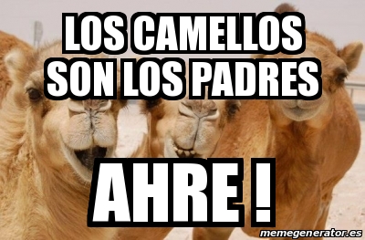 Meme Personalizado - LOS CAMELLOS SON LOS PADRES AHRE ! - 31234779